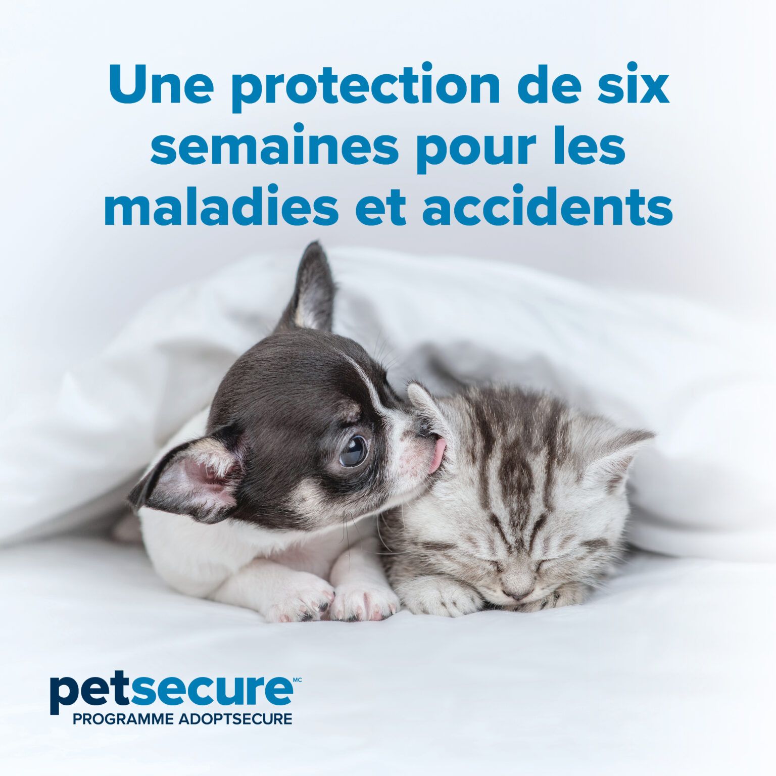 Petsecure - Centre de services animaliers de Rimouski